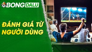 Bongdalu Tỷ Số Tỷ Lệ Bóng Đá - Kết Quả Trực Tuyến Bong Da Lu
